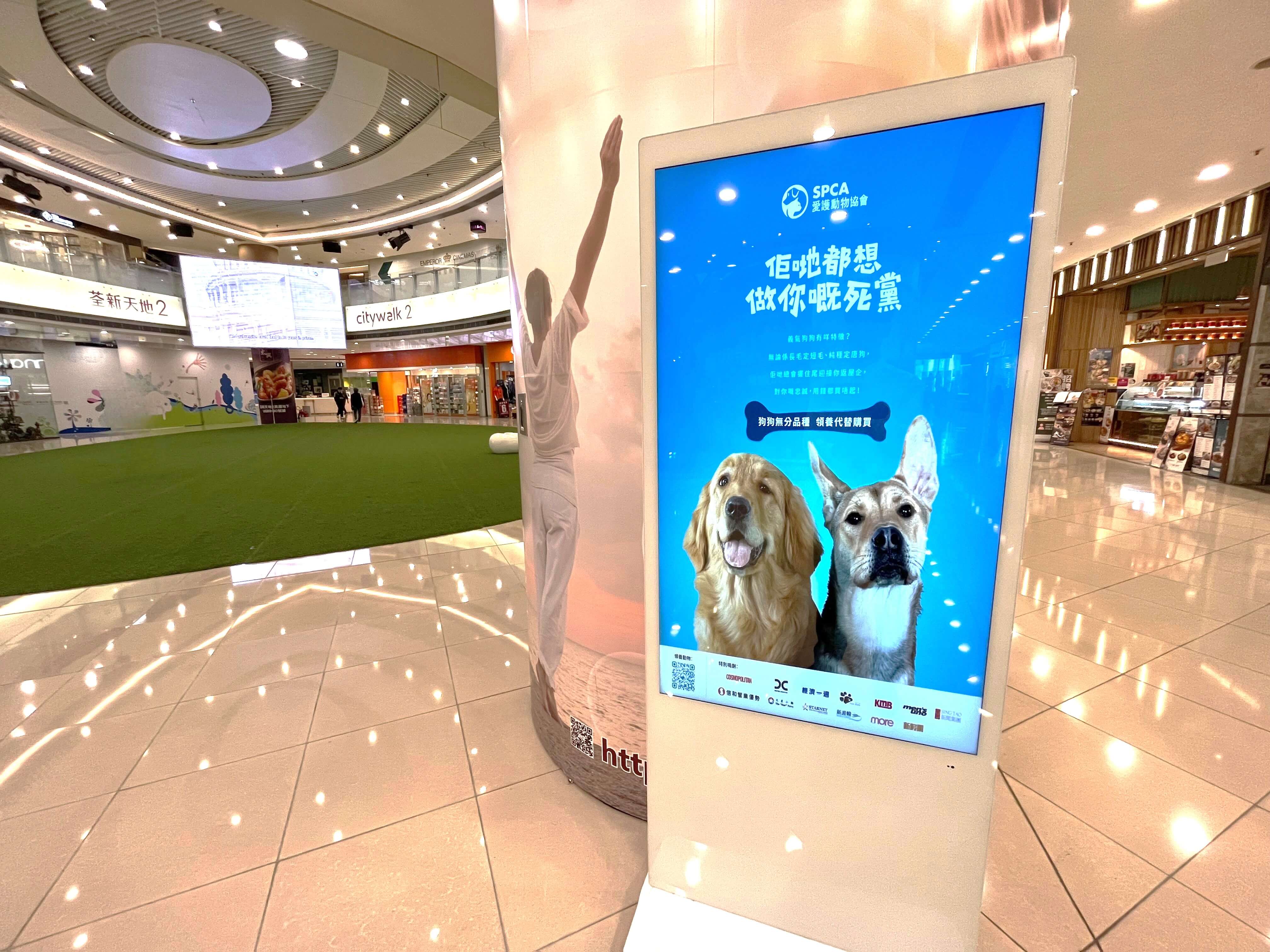 SPCA promotes pet adoption with new campaign | Marketing-Interactive