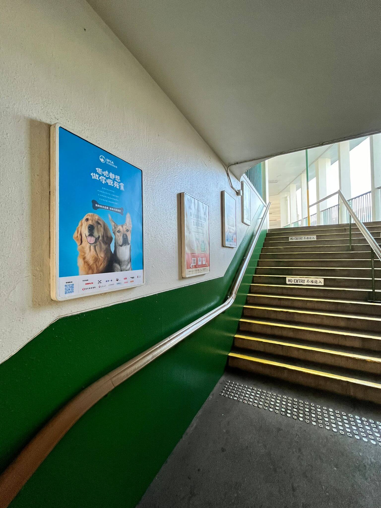 SPCA promotes pet adoption with new campaign | Marketing-Interactive